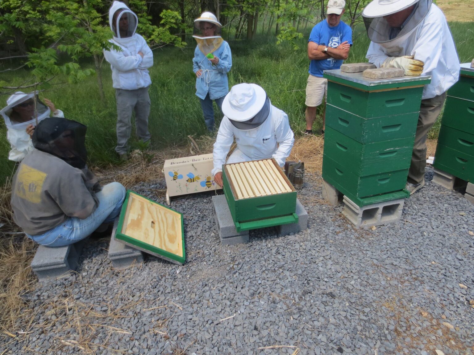 Shenandoah County Beekeepers